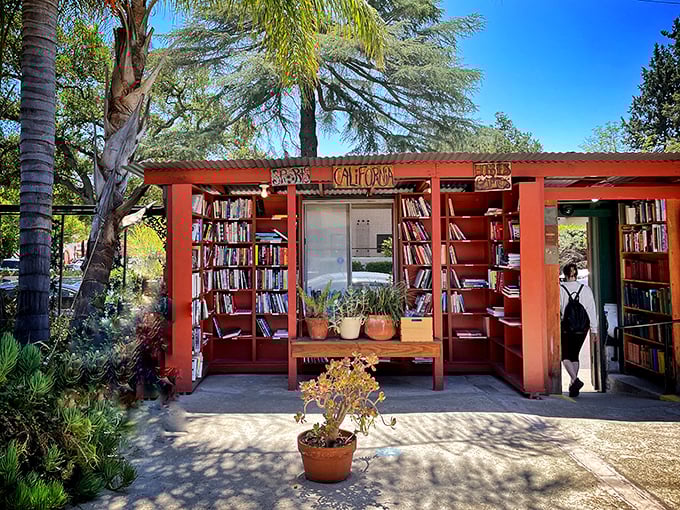 At Bart's Books, the outdoor shelves glow with California sunshine, inviting you to browse beneath the open sky.