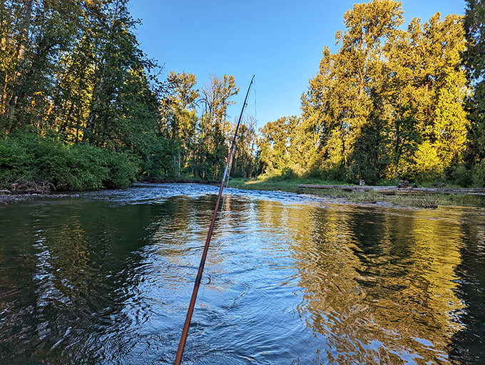 Nature's own meditation studio &ndash; the gentle flow of water through Bonnie Lure creates the perfect soundtrack for serenity.