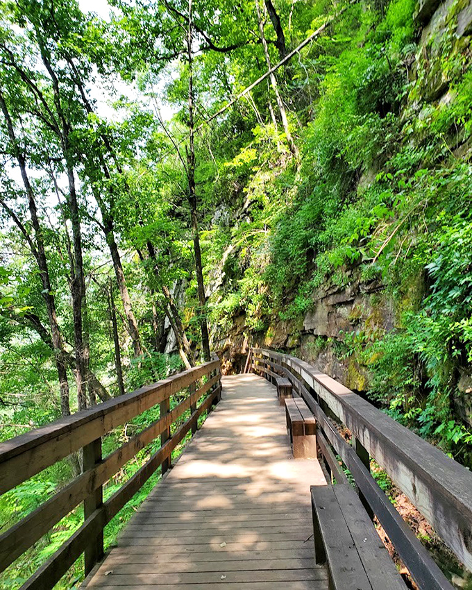 Cloudland Canyon's wooden walkway invites you into a green cathedral &ndash; where the sermon is written in leaves and light.