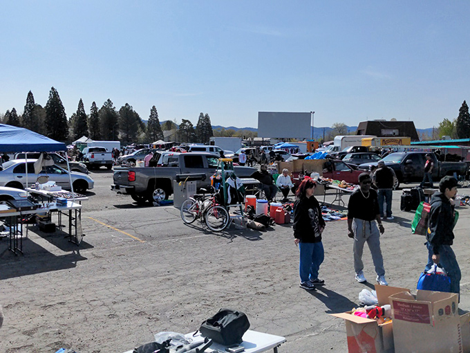 Treasure hunting under Nevada's big blue sky. Even the mountains seem curious about what deals you'll discover today.