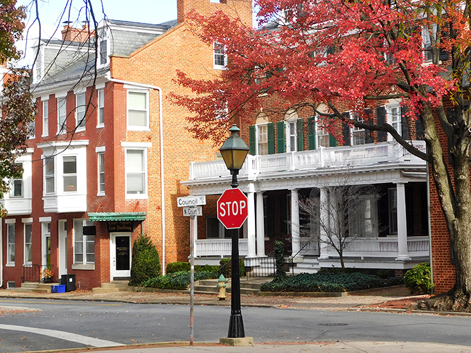 Frederick's tree-lined streets and classic architecture create the perfect backdrop for a retirement that's rich in charm but gentle on savings.