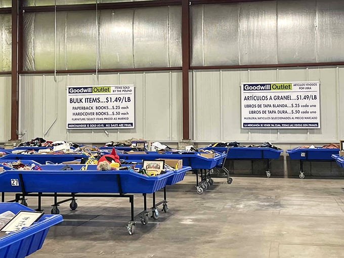 Blue bins of possibility&mdash;Goodwill's by-the-pound treasure troughs where patient diggers are rewarded with unexpected discoveries.