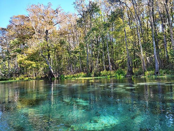 The ultimate social distancing: Floating down Ichetucknee Springs with nothing but blue skies, clear waters, and your thoughts.