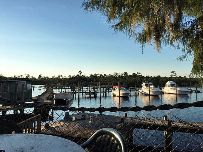 Enjoy the serene waterfront views of Jacksonville as you watch the boats bob gently in the marina under a clear sky.