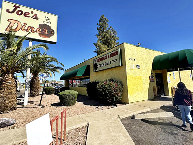 Morning light kisses Joe's Diner's simple storefront, where inside, hash browns achieve the perfect crisp-to-tender ratio that science still can't explain.