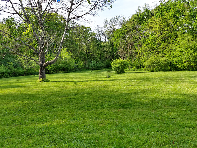 Fall's fiery display! Jubilee College State Park wraps its lake in autumn colors, creating postcard-worthy views from every angle.