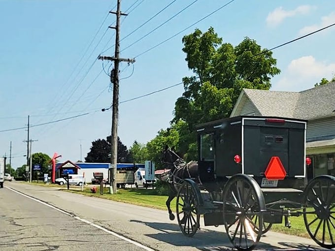 A horse and buggy navigating modern streets &ndash; the ultimate contrast between fast-paced living and taking life one trot at a time.