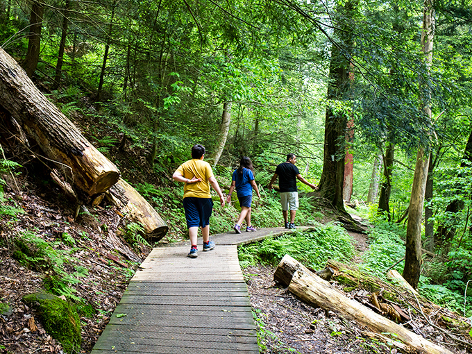 Mohican State Park: "Nature's boardwalk beckons. This trail doesn't just lead somewhere&mdash;it takes you somewhere your soul remembers."