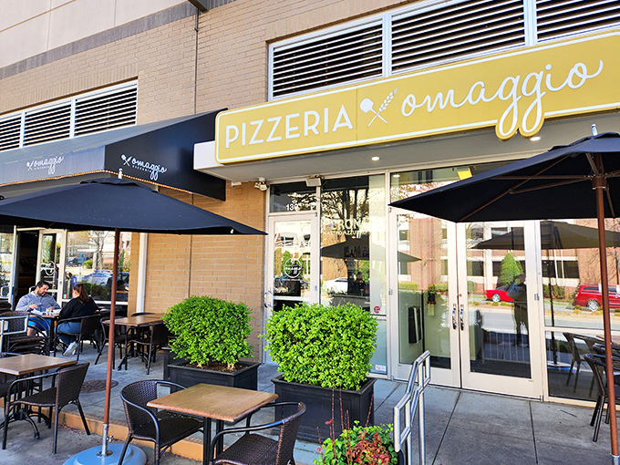 Outdoor seating that invites you to linger while enjoying thin-crust perfection. The plants are nice, but we're here for the pizza!