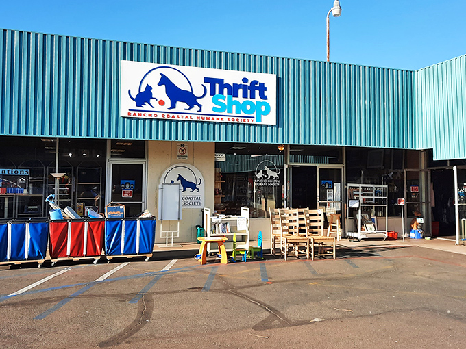 Shop here and you're not just finding bargains&mdash;you're helping furry friends find forever homes.