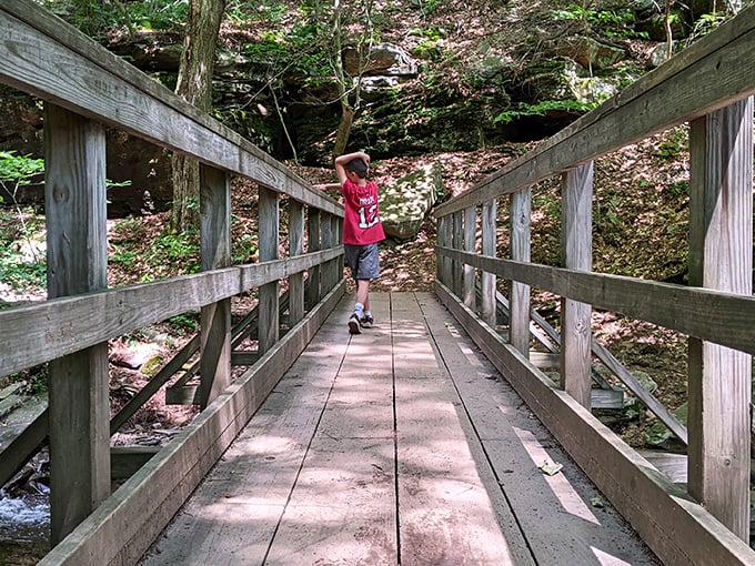 This wooden bridge at Ricketts Glen invites adventure. Follow it and find yourself in a real-life fairytale!