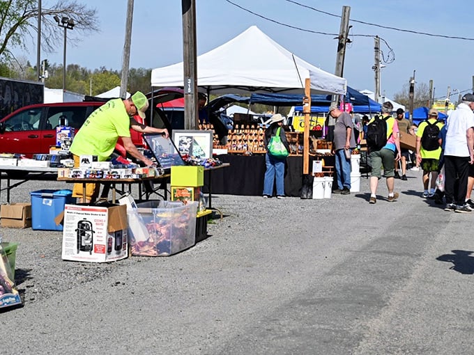 Treasure hunting in the wild! At Rogers, one person's "I don't need this anymore" becomes your "I've been looking everywhere for this!"