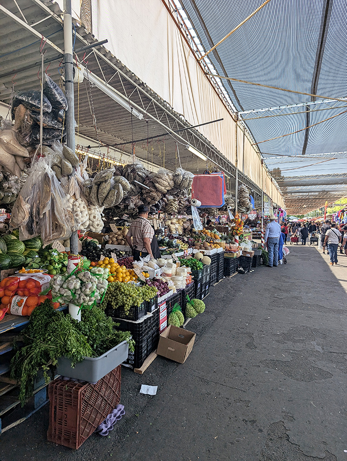Produce paradise! These veggies didn't just fall off the truck&mdash;they practically jumped from the farm to your bag.