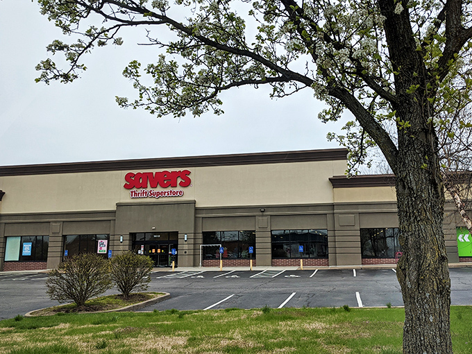 Morning light bathes Savers in golden possibility. That sturdy tree seems to stand guard over countless treasures inside.