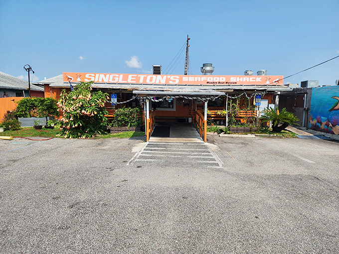 Weathered wood and seafood gold! Singleton's embodies that perfect Florida fish shack vibe where paper towels replace cloth napkins.