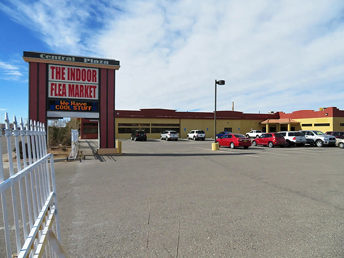 Inside this air-conditioned treasure trove, aisles of vendors offer everything from vinyl records to vintage jewelry.