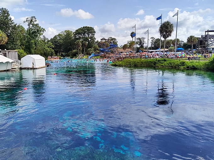 The kind of blue water that makes you question why you've spent so much time on land. Weeki Wachee's natural spring is Florida's original water park.