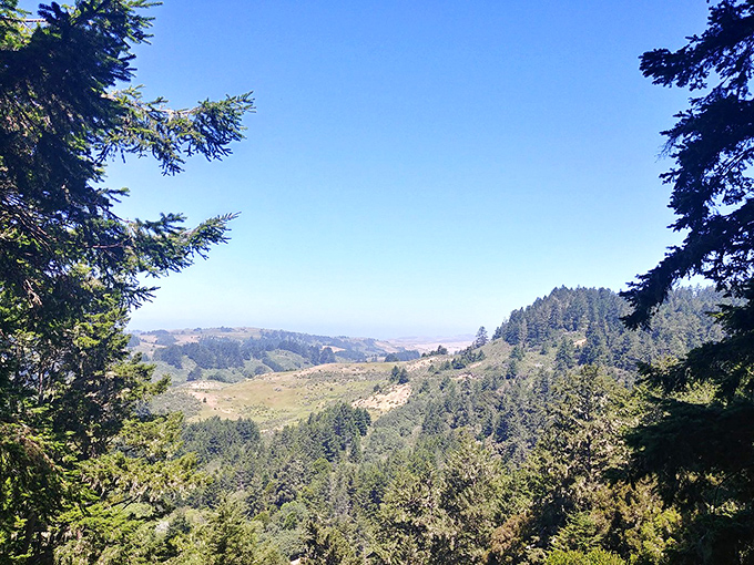 The park's trail map isn't just information&mdash;it's an invitation to adventure. Choose your own difficulty level, from "pleasant stroll" to "why did I skip leg day?"