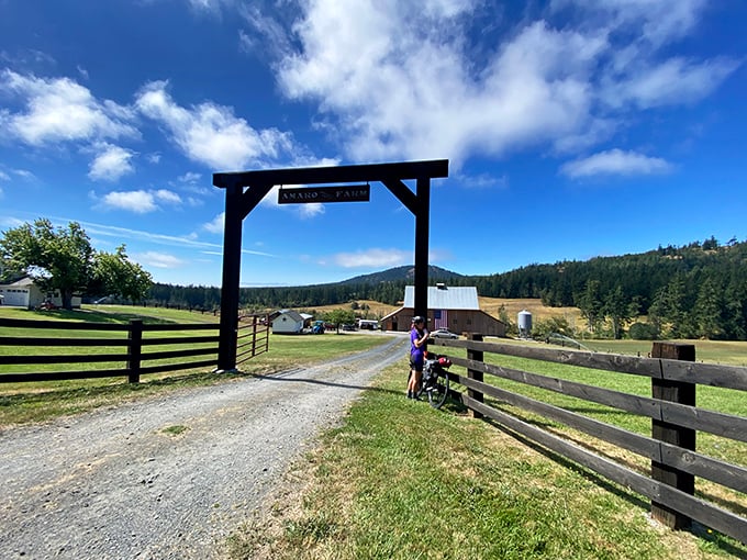 At Amaro Farm, the entrance arch isn't just Instagram-worthy&mdash;it's the gateway to pastoral bliss that makes you contemplate quitting your job to raise heritage chickens.