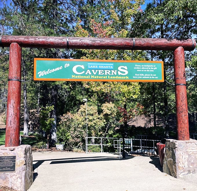 Welcome to Northern California's most impressive natural landmark! The rustic entrance sign is just the first hint of the subterranean spectacle awaiting beyond.