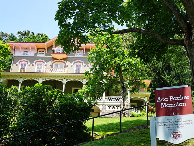 The Asa Packer Mansion perches regally on its hillside throne. Victorian opulence that makes Downton Abbey look like a starter home.