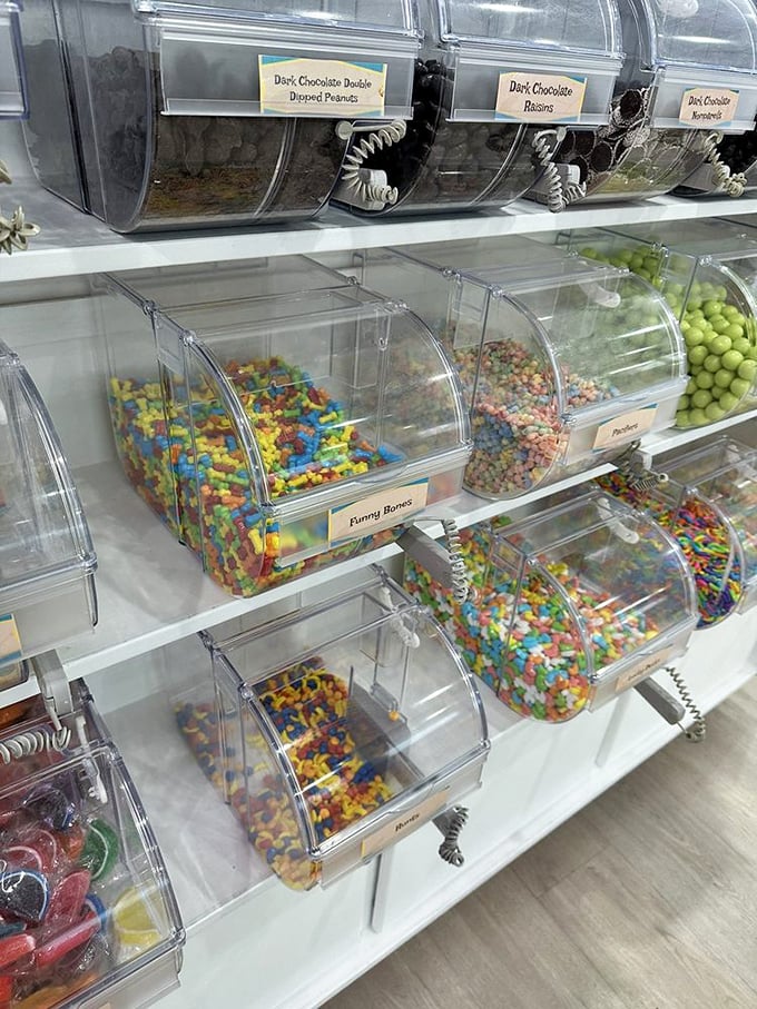 Candy bins lined up like a sugary United Nations, where Runts, Funny Bones, and jelly beans negotiate peaceful coexistence.