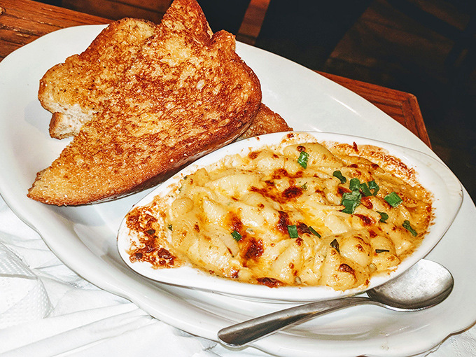 Mac and cheese that makes you question your grandmother's recipe. Golden, bubbling perfection that stretches from plate to palate like edible sunshine.