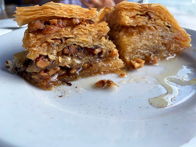 Baklava that makes grown adults fight over the last piece. Layers of phyllo, honey, and nuts that would make Zeus himself descend from Mount Olympus.