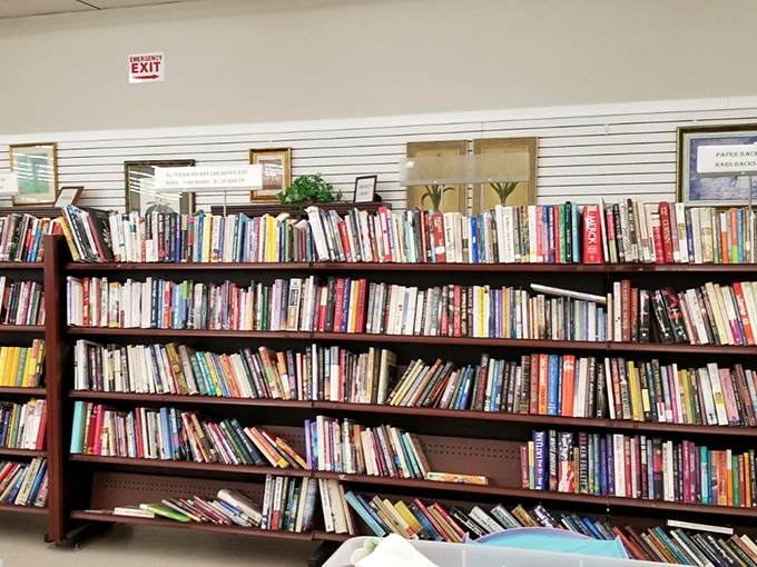 Bookworms, rejoice! These shelves hold literary adventures waiting to be discovered for less than the price of a fancy coffee.