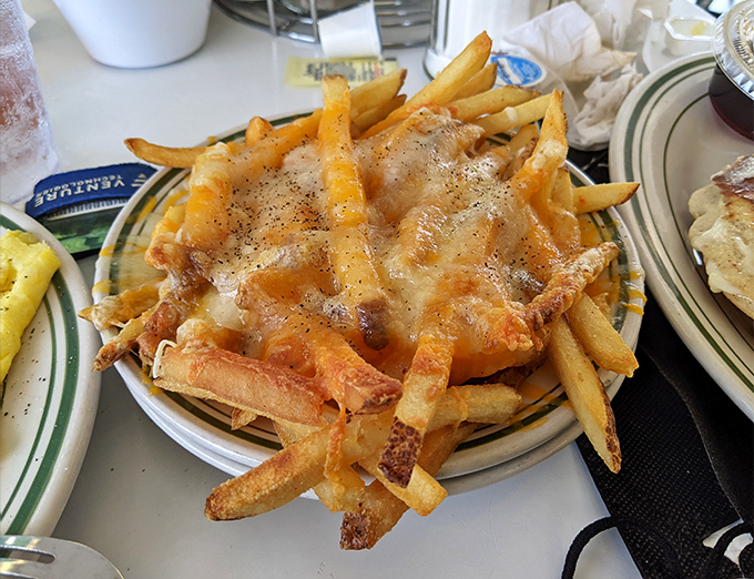 Cheese fries that make you question every other cheese fry experience in your life. The crispy-to-melty ratio here is nothing short of mathematical perfection.