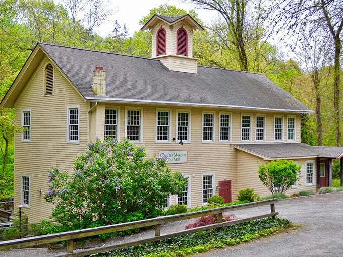 The Chester Museum at The Mill stands as a sunny reminder that history doesn't have to be stuffy &ndash; sometimes it comes with excellent windows and lilacs.