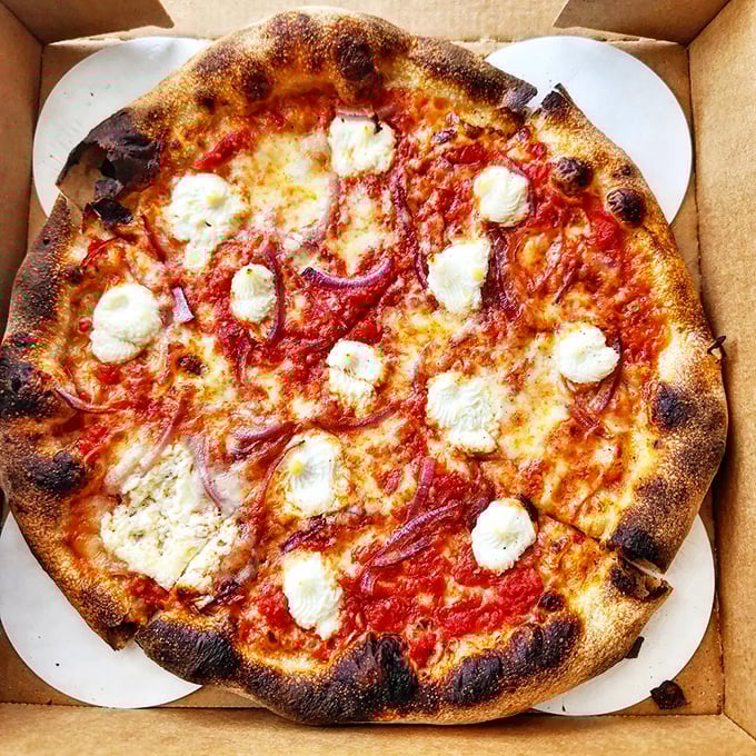 Crispy, cheesy perfection from Saint Francis Apizza in Cincinnati, Ohio! Fresh sauce, creamy ricotta, and that perfect char&mdash;pure pizza happiness!