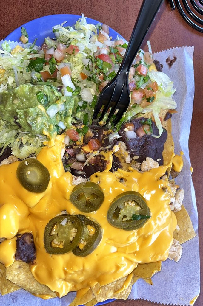 These nachos aren't just loaded—they're having an existential crisis about how one plate can possibly contain so much flavor.