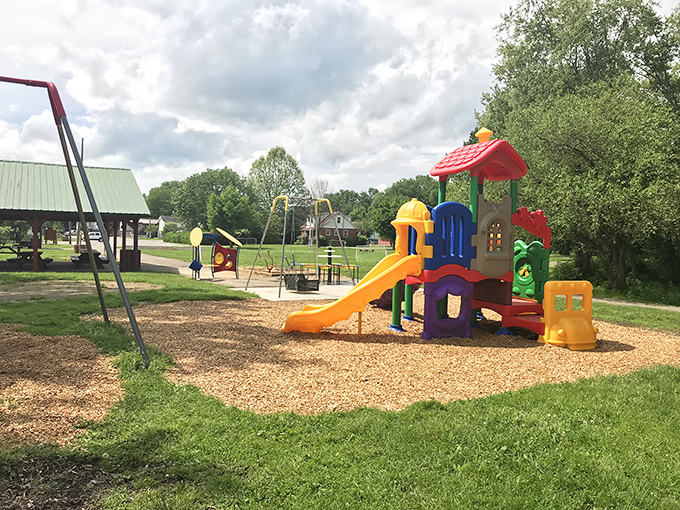 Childhood memories come in primary colors. This playground promises skinned knees, conquered fears, and the kind of offline fun that doesn't require charging.