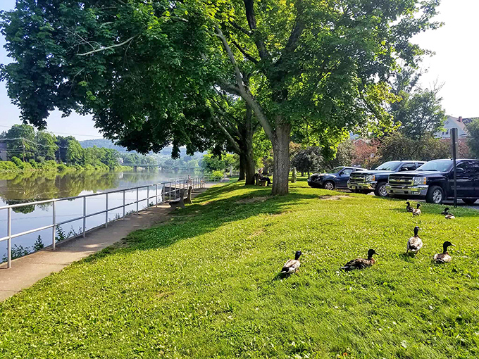 Riverside tranquility beckons with green spaces perfect for feeding ducks and rediscovering life's simple pleasures together.