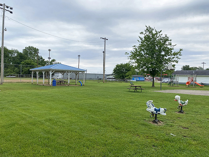 Simple pleasures await at this community park, where picnic pavilions and playground equipment invite families to slow down and reconnect.