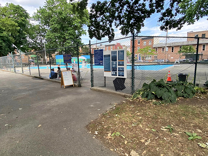 Summer in small-town Pennsylvania means community pools where generations have learned to swim. The real luxury here isn't fancy amenities—it's the sound of children's laughter echoing across cool water.