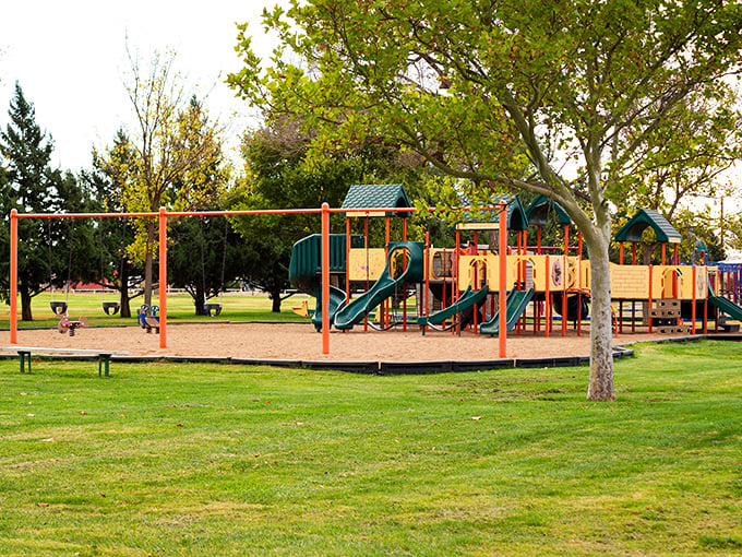 Kids scramble across colorful playground equipment while parents chat on nearby benches&mdash;a scene from family life that plays out daily in Clovis's well-maintained parks.