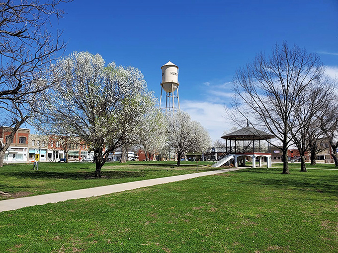 Spring in City Square Park offers nature's perfect show: flowering trees, green grass, and that bandstand waiting patiently for summer concerts to begin.