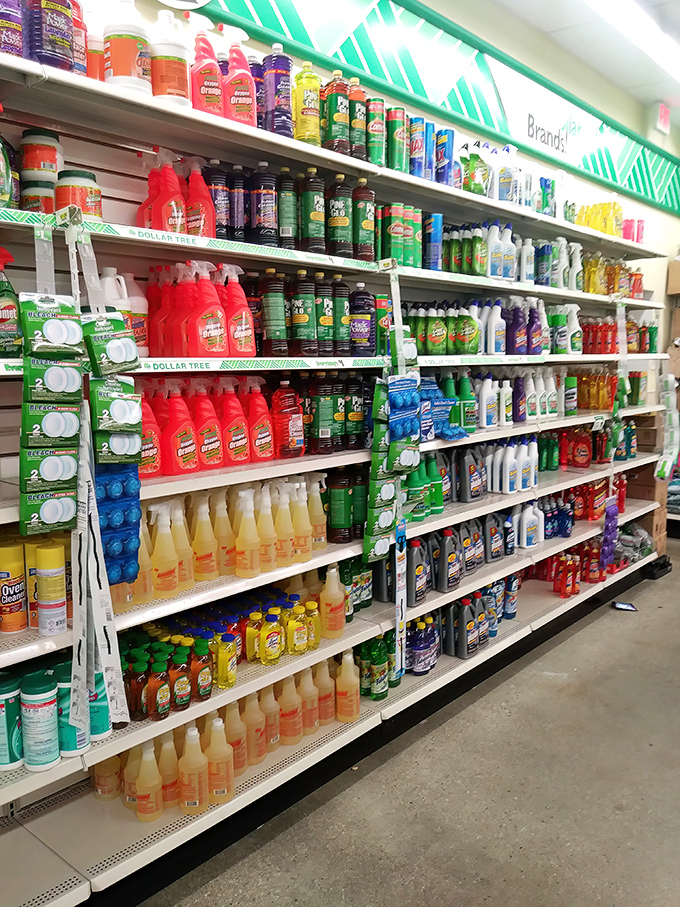 Cleaning product heaven where you can stock up like you're preparing for a visit from your mother-in-law.