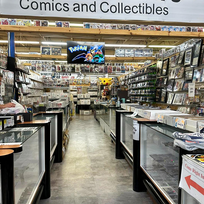 Comic book heaven awaits collectors, with longboxes of carefully preserved adventures from Marvel classics to indie gems, all waiting for new homes.
