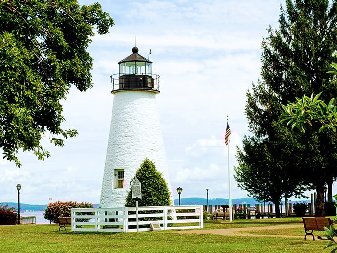 The Concord Point Lighthouse stands like a pristine wedding cake against the Chesapeake Bay, guiding mariners and Instagram enthusiasts with equal dedication since 1827.