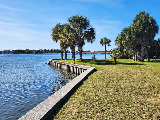 Palm trees standing sentinel along the waterfront &ndash; nature's way of saying "relax, you've arrived at the good part." 