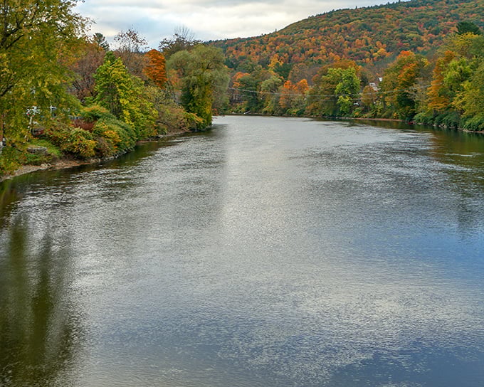 The Deerfield River in autumn glory, where the water seems to whisper stories of generations who've walked these shores.