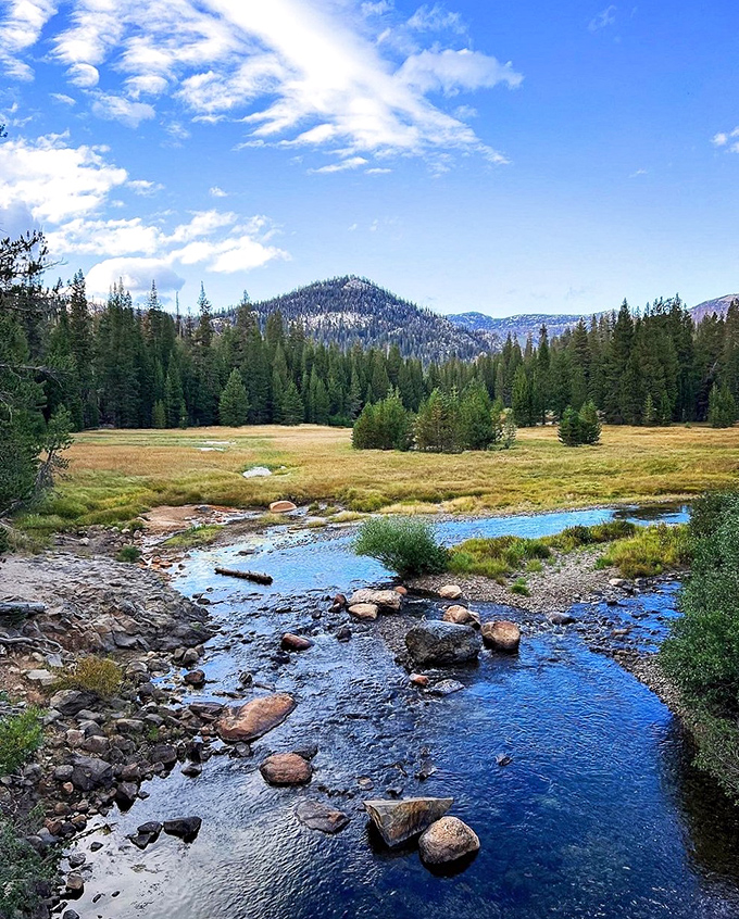 Nature's perfect columns: Devils Postpile's hexagonal basalt formations look like they were crafted by geometric-obsessed giants with ruler-straight precision.
