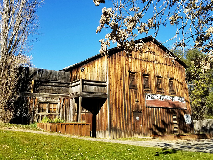 The Fallon House Theatre doesn't need digital effects to transport you &ndash; its weathered wooden facade tells stories Hollywood could only dream of recreating.