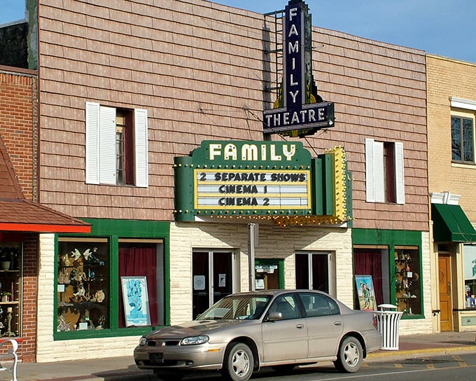 The Family Theatre marquee promises entertainment the old-fashioned way. No algorithms here&mdash;just movies selected by humans for humans.