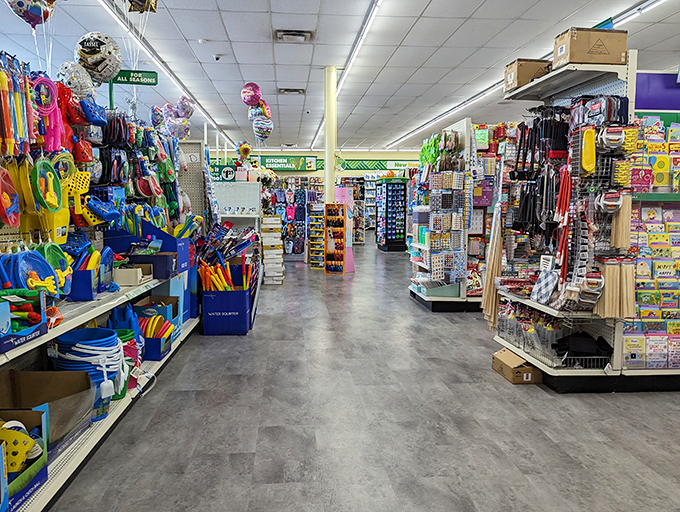 The toy aisle: where childhood imagination meets adult budget-consciousness in a beautiful retail marriage that parents everywhere appreciate. 