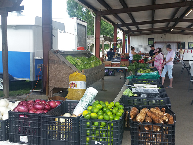 Farm-fresh produce that didn't spend more time traveling than you did. These vegetables remember what dirt feels like.