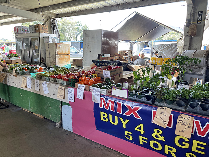 "Buy 4 & Get 5 For&hellip;" deals that would make extreme couponers weep with joy. Fresh produce that actually remembers its farm days. 